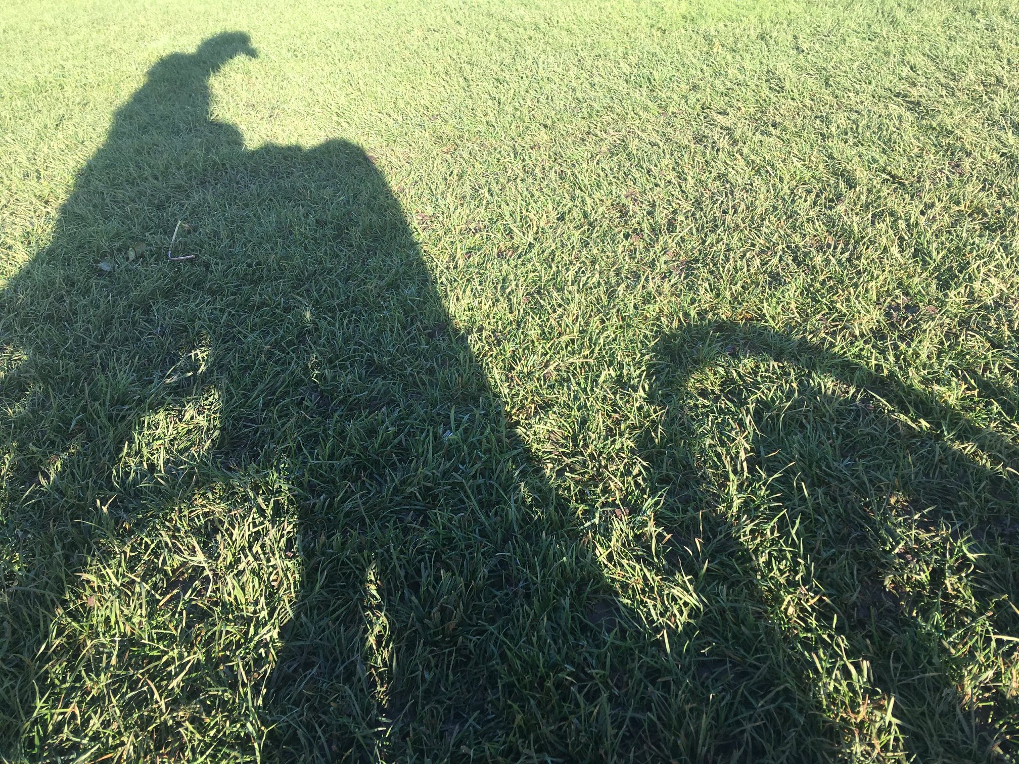 Wheelchair Fitness - Freedom Wheelchair Skills